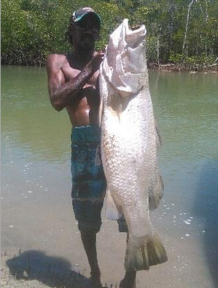 Monster 148cm barra caught in Cape York - Fishing World