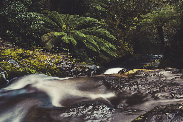 Photo tip of the week: 5 best Tassie photo locations - Australian ...
