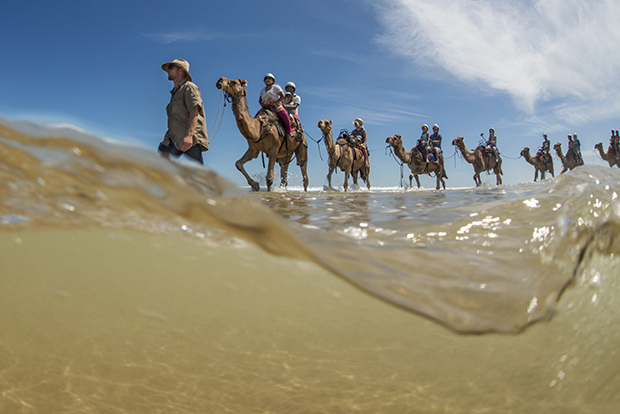 Behind the lens: Leading a camel to water - Australian Photography