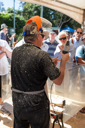 Maleny Expo’s 20 Year Celebration - Australian Wood Review