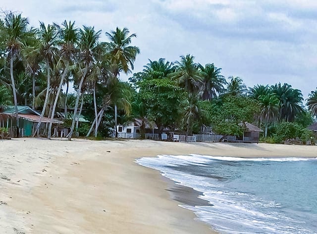 Yafohi Travel | Voyage et Tourisme en Côte d'Ivoire