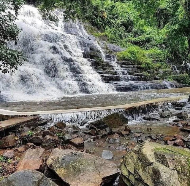 Yafohi Travel | Voyage et Tourisme en Côte d'Ivoire