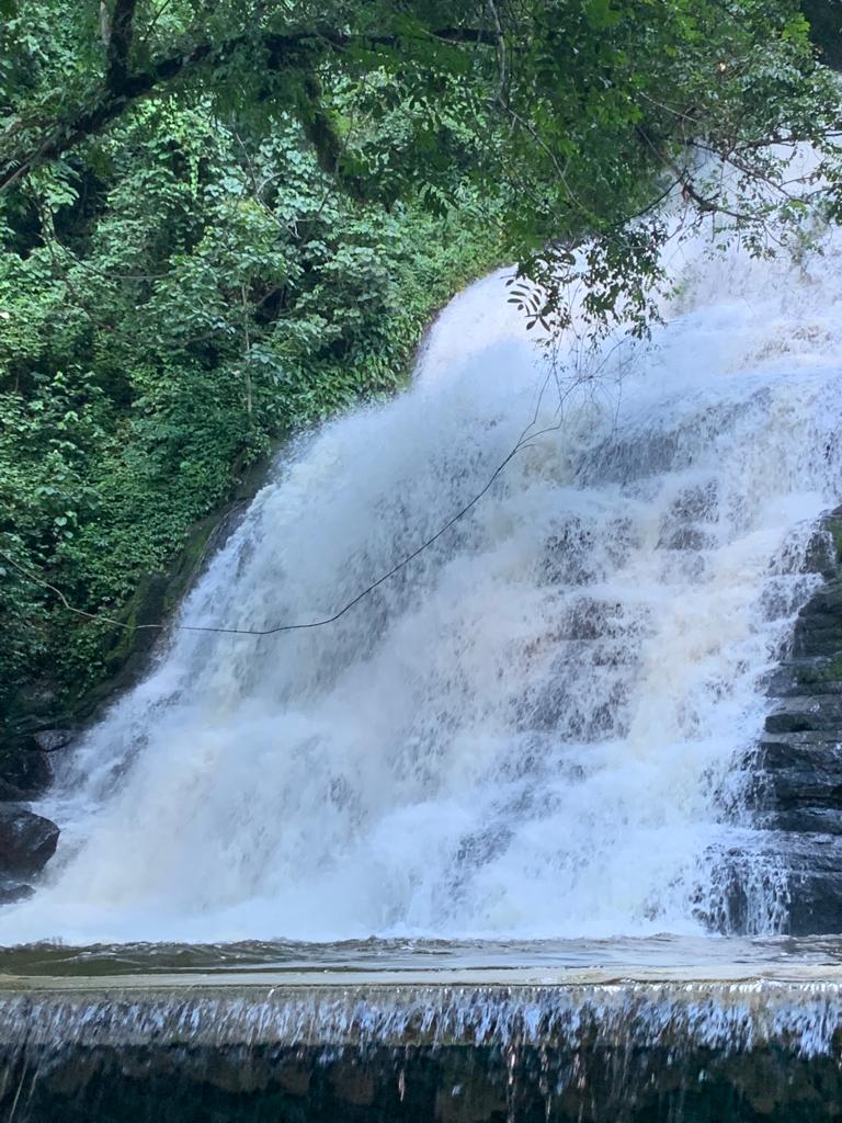 Yafohi Travel | Voyage et Tourisme en Côte d'Ivoire