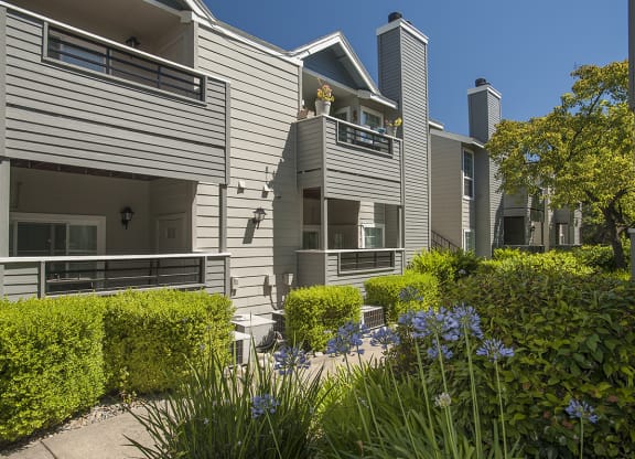 Photos and Video of Rocklin Gold in Rocklin, CA