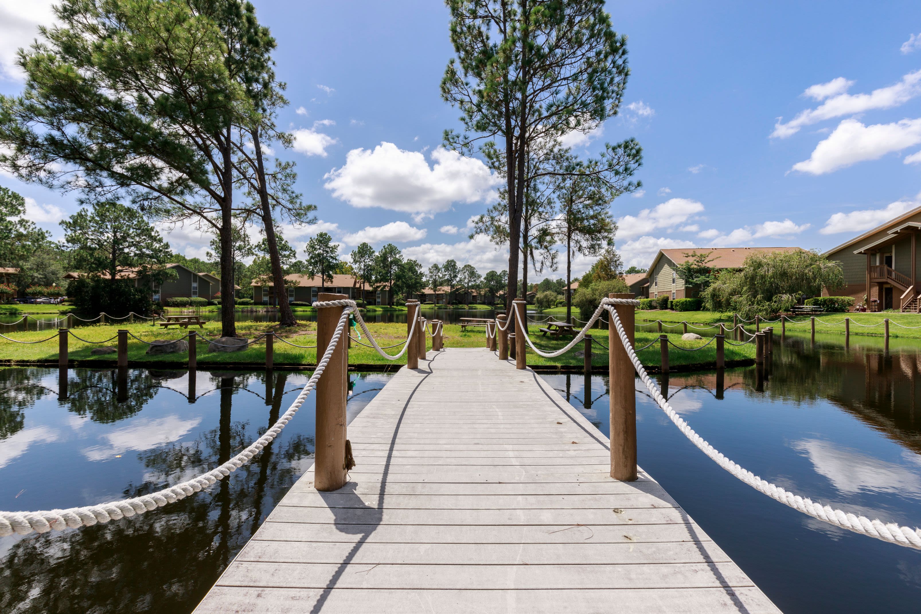 Photos and Video of Whisper Lake in Winter Park, FL