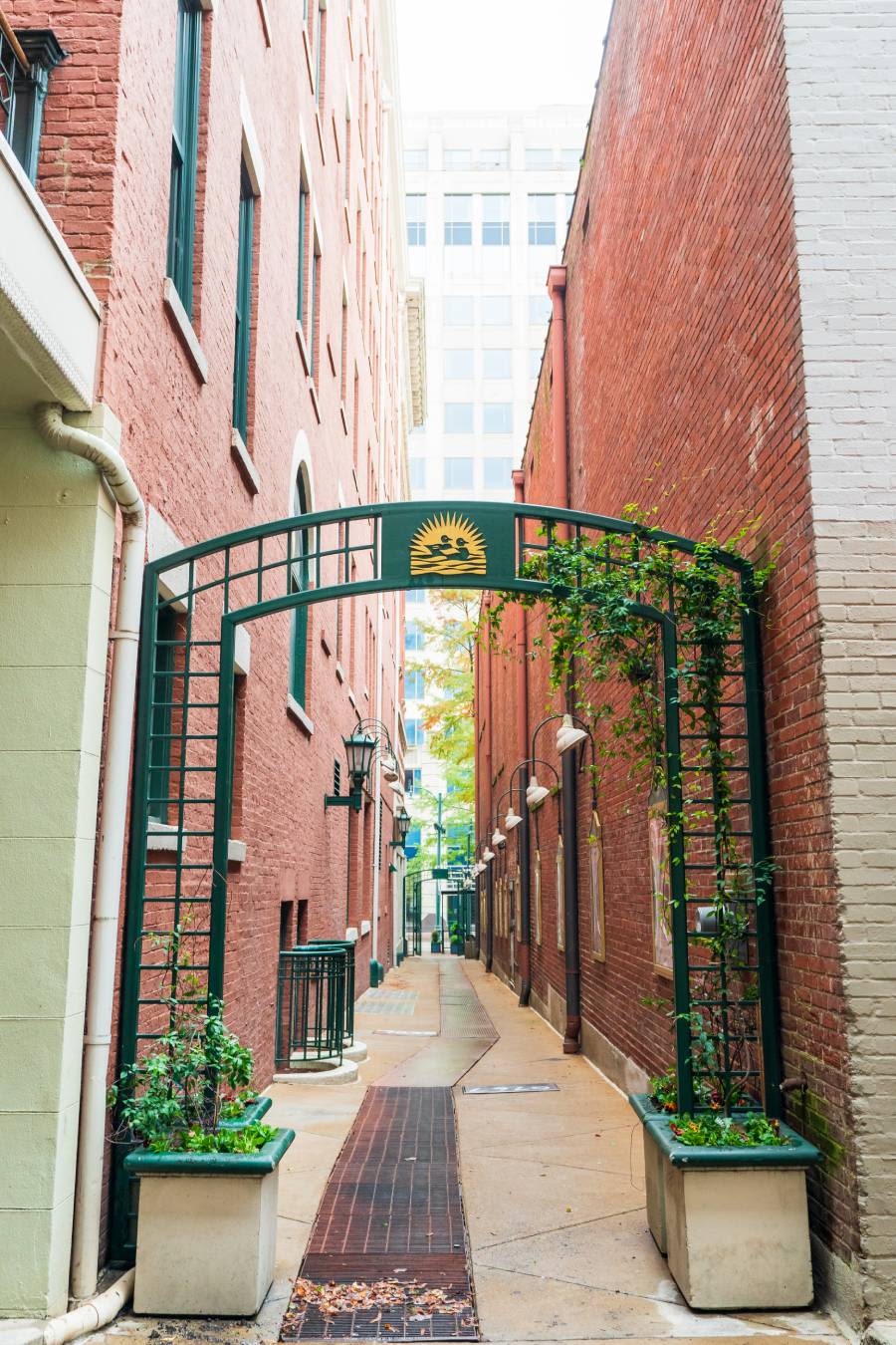 Photos and Video of Gayoso House at Peabody Place in Memphis, TN