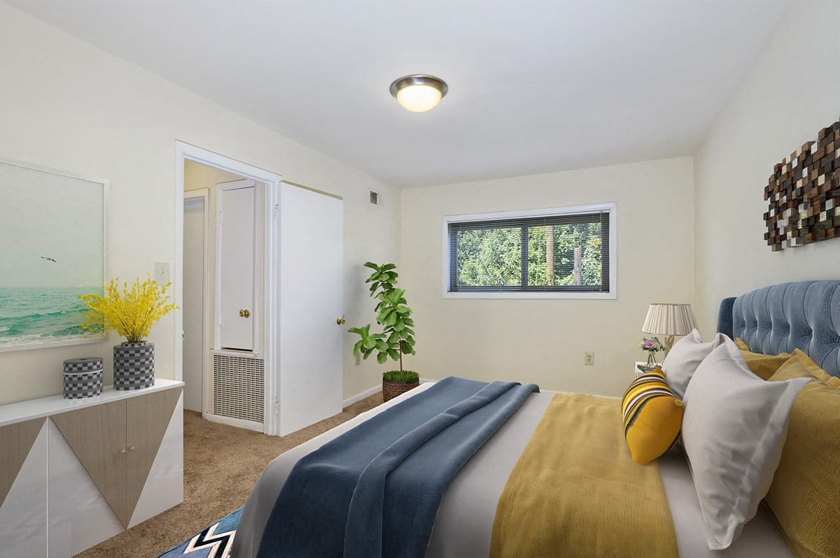 Photos and Video of Holly Spring Meadows in Forestville, MD