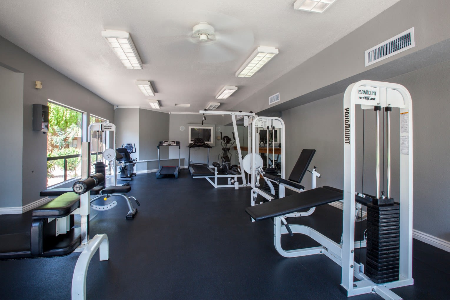 Photos & Tour | Avenue 8 Apartments | Mesa, AZ