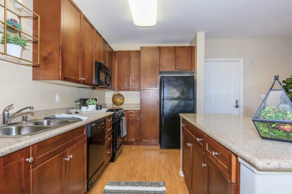 Meridian Place Apartments | A3 | Available Units