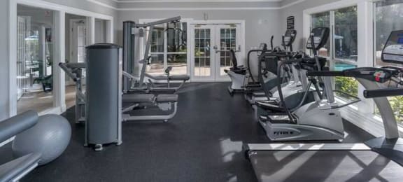 Apartments for Rent in St. Petersburg, FL | Promenade at Carillon