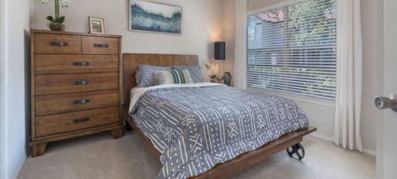 Apartments for Rent in St. Petersburg, FL | Promenade at Carillon