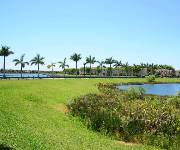 Palm Breeze at Keys Gate | Apartments in Homestead, FL
