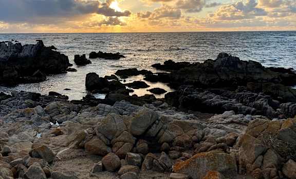 Ocean View at Pacific Grove | Apartments in Pacific Grove, CA