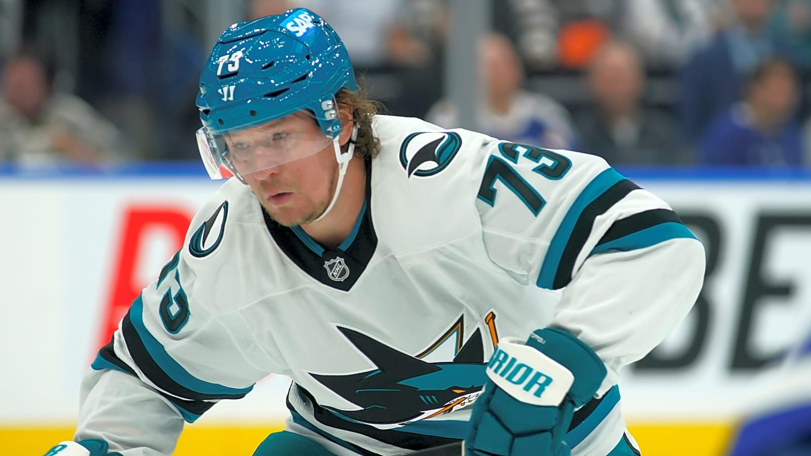 San Jose Sharks Star Tyler Toffoli Calls Himself Out for 'Stupid ...
