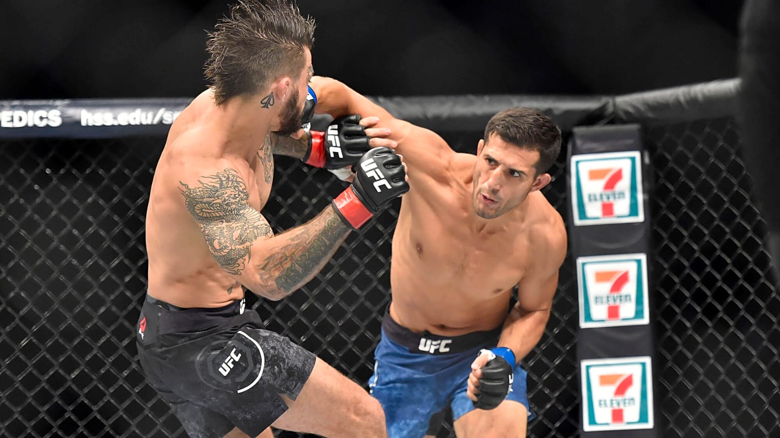 Dominick Reyes’ Brother: Is Alex Reyes Related? UFC Fighters’ Sibling ...