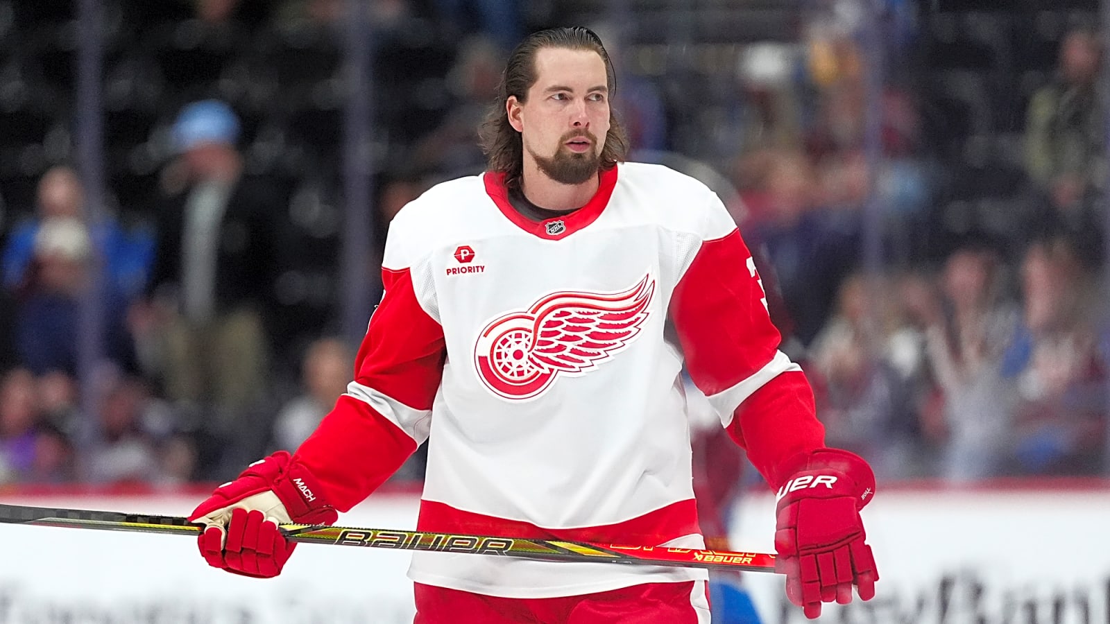 Red Wings Recall Justin Holl, Sheldon Dries | Yardbarker