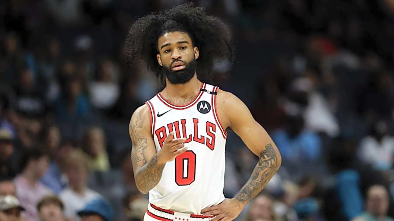 Latest Coby White Update Paints Promising Picture for Bulls-Pistons ...