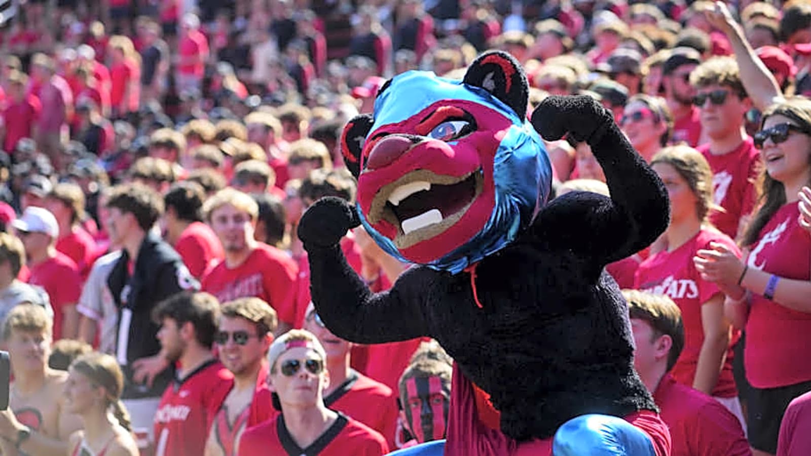 Cincinnati Bearcats Football Wins Two Big 12 Weekly Awards Following ...