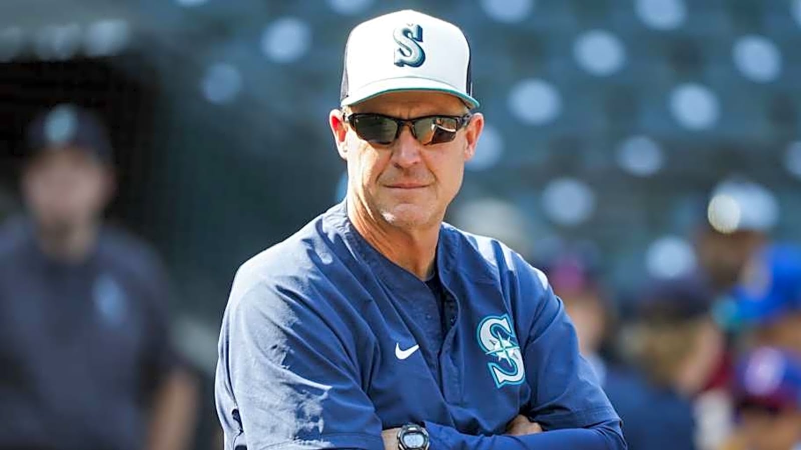 Seattle Skipper Dan Wilson is the Embodiment of What It Means to be a ...