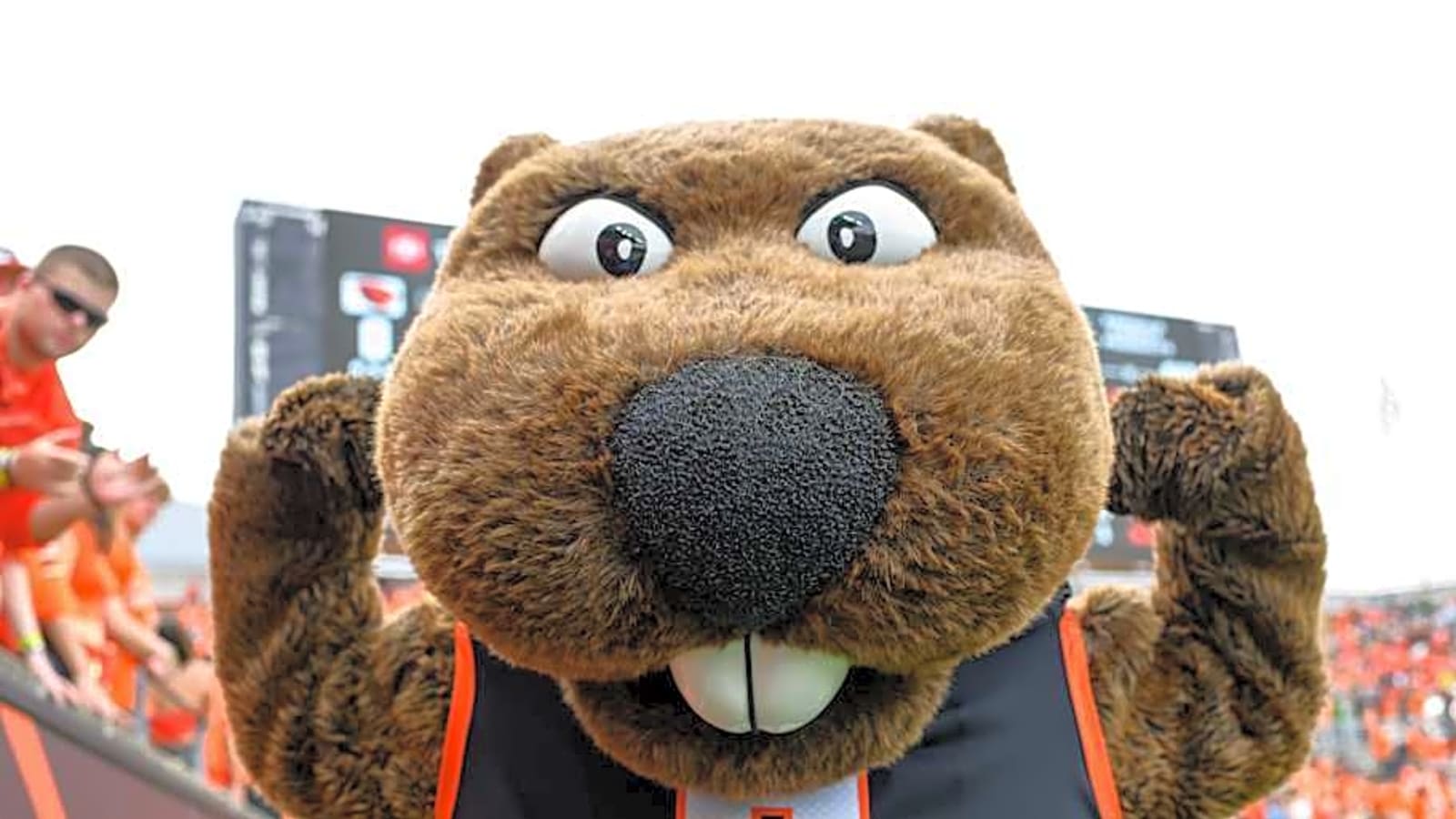 Oregon State Men's Soccer: Beavers Come Up Short Against Stanford ...