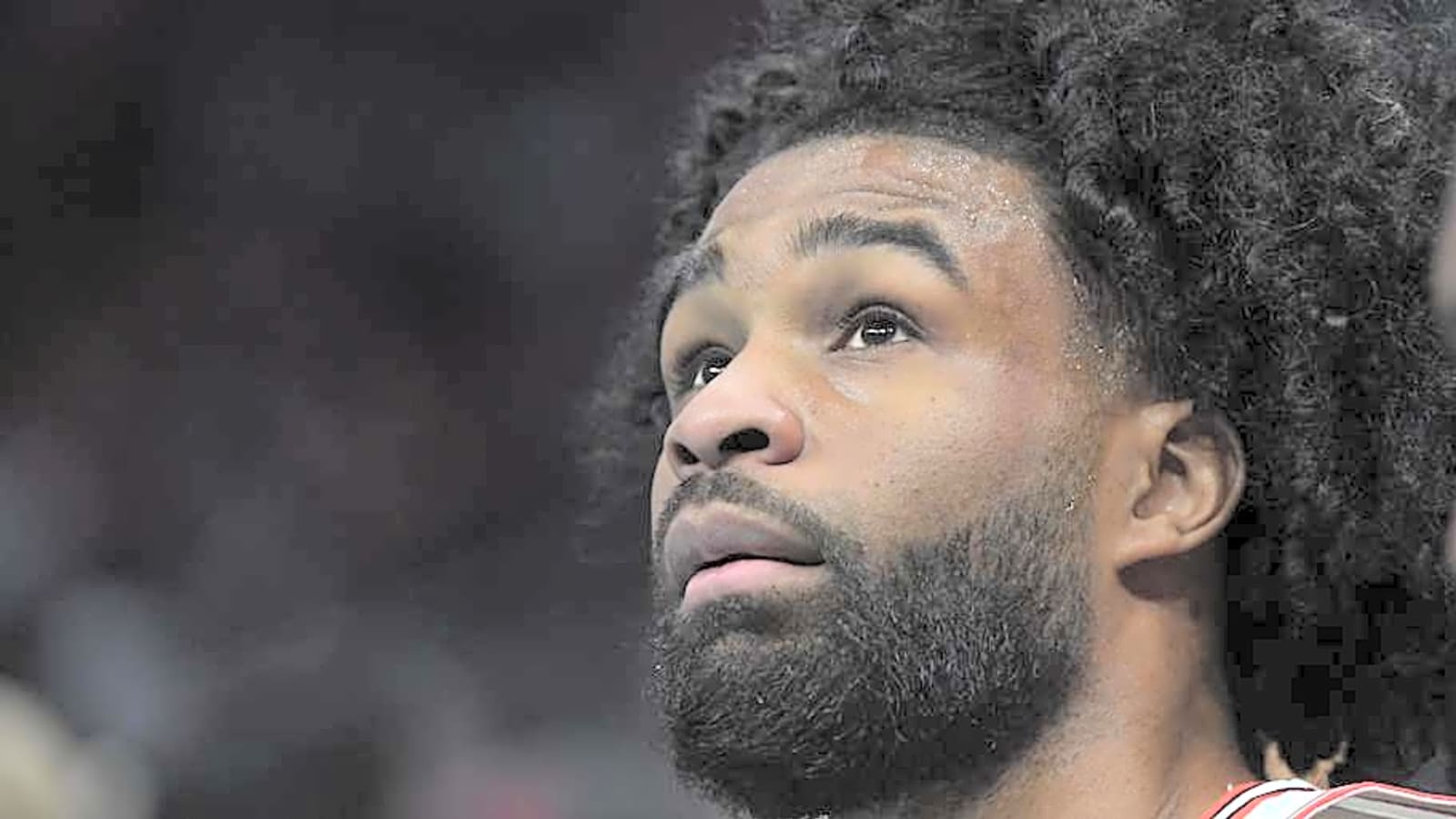 Chicago Bulls Provide Update on Coby White, Josh Giddey As Gauntlet ...