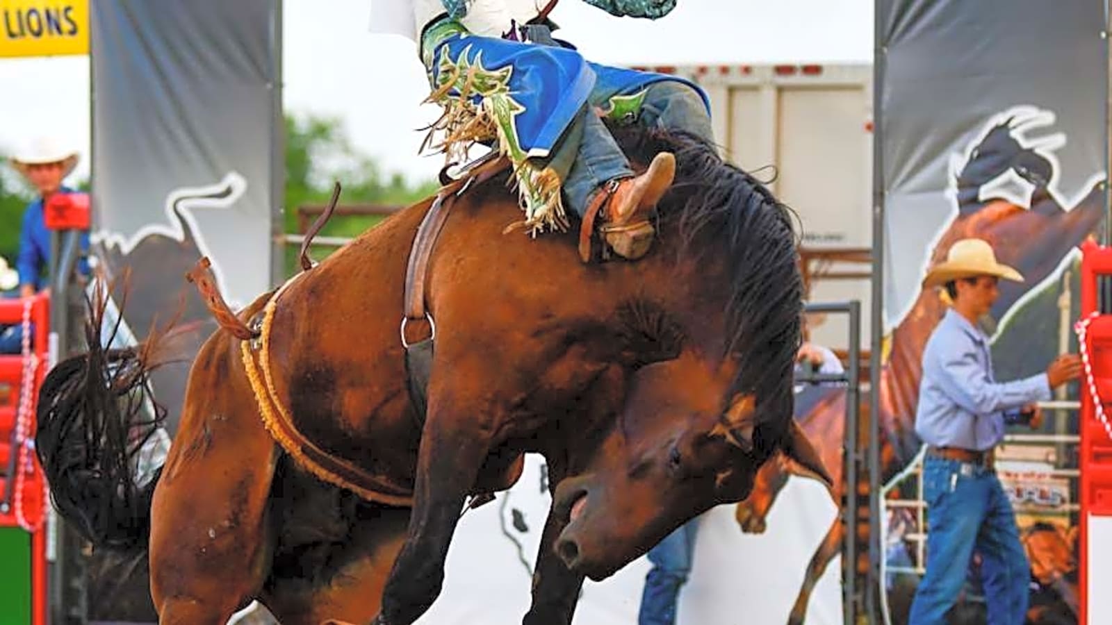 Underdogs Were The Name Of The Game At The North American Championship ...