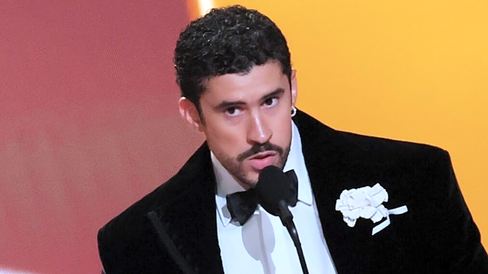 Bad Bunny, Billie Eilish, & More Make Powerful Political Statements at ...