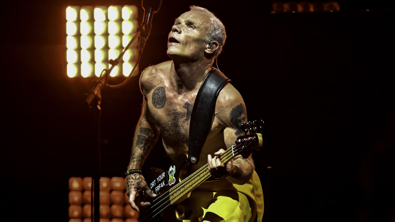 Aces of bass: Ranking the greatest bass players of all time | Yardbarker