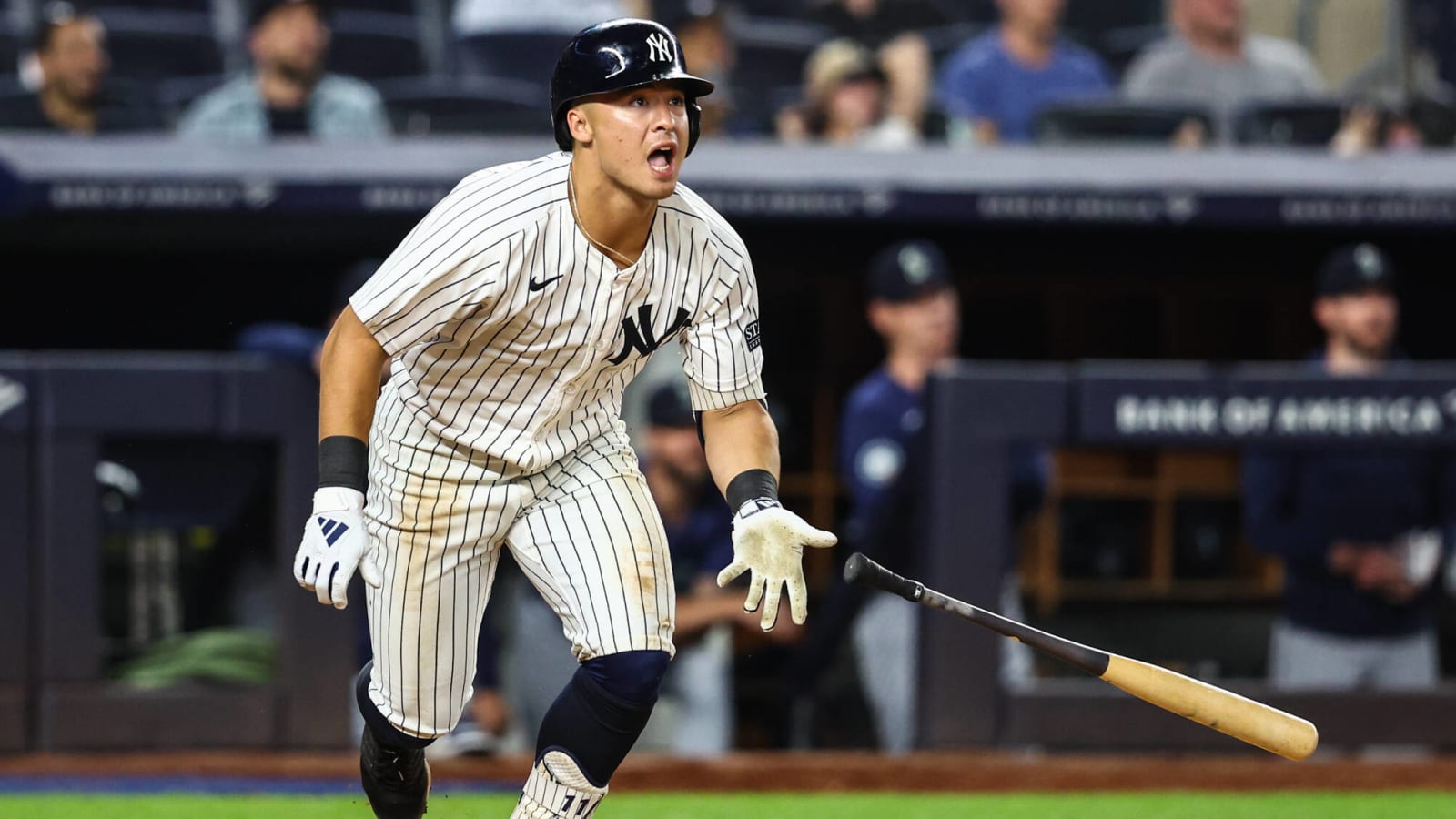 The Yankees are watching their young shortstop blossom into a star ...