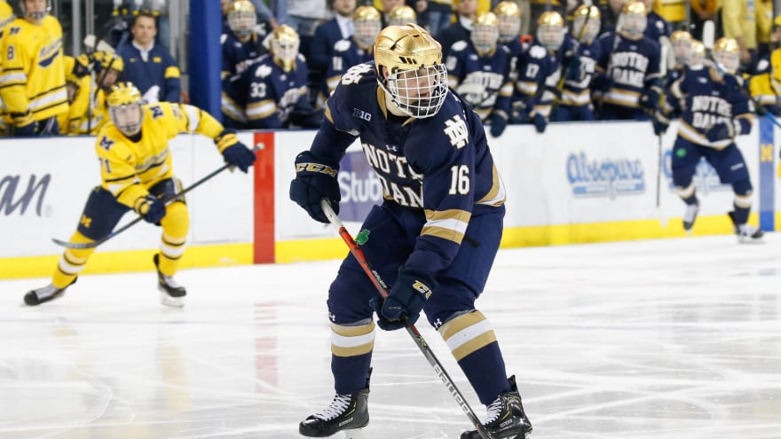 Maple Leafs sign forward prospect Alex Steeves to entry-level deal ...