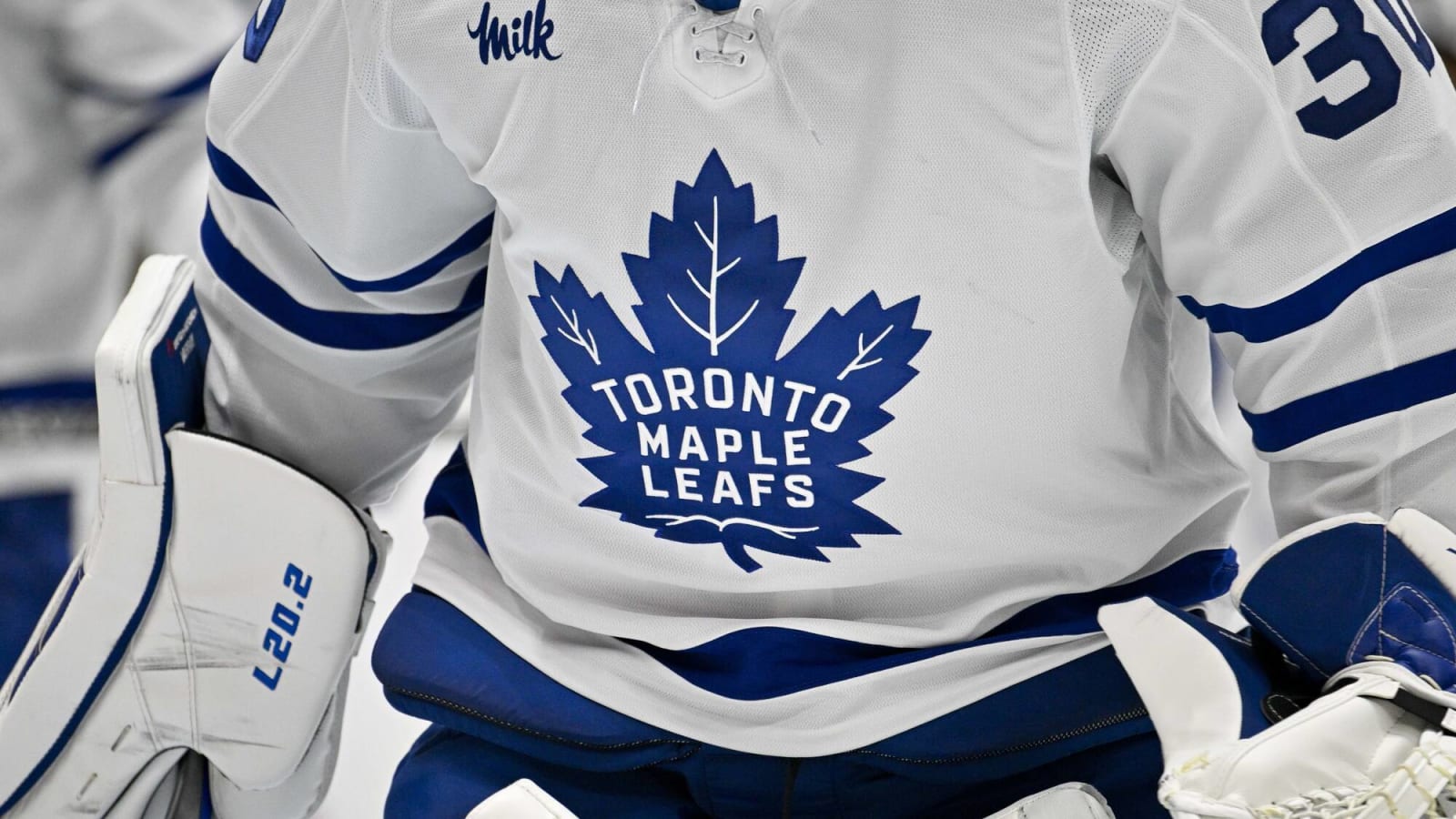 Mike Van Ryn Back in NHL with Toronto Maple Leafs | Yardbarker