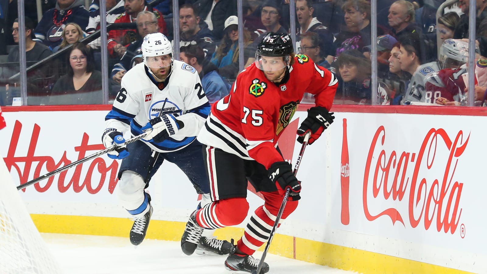 Diving into what Alec Regula will bring to the Oilers | Yardbarker