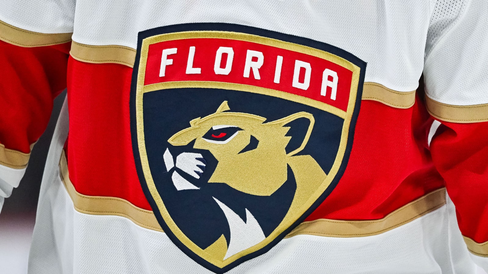 Florida Panthers Back on the Ice — For Development Camp | Yardbarker