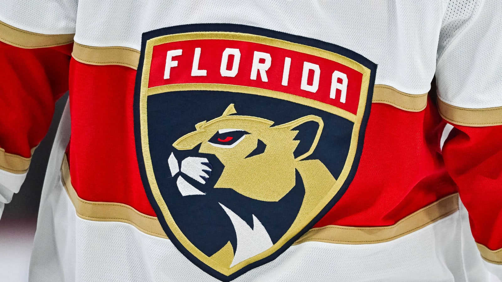 Florida Panthers Confused With NFL Team (Again) on TV News Graphic ...