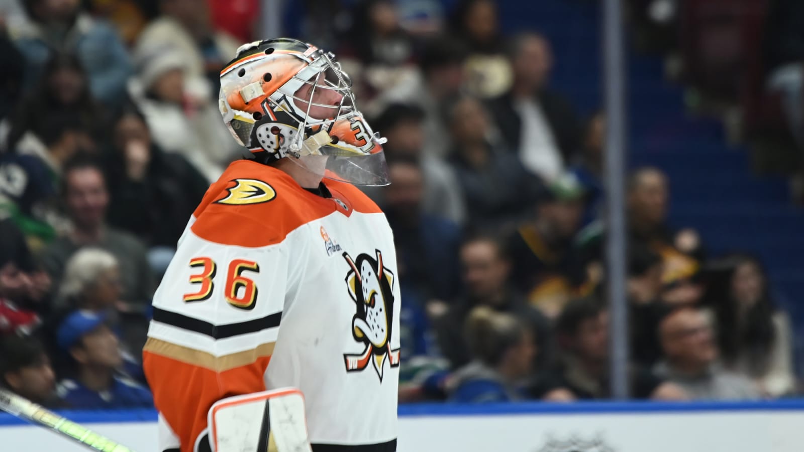 Ducks reassign Ville Husso, John Gibson returns | Yardbarker