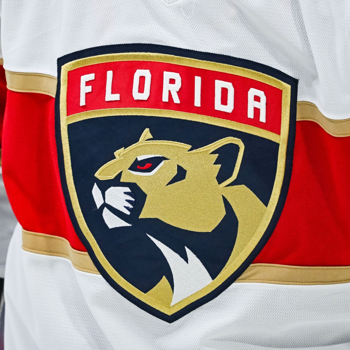 2017 Florida Panthers Logo 2016/17 Florida Panthers Team Signed Hockey