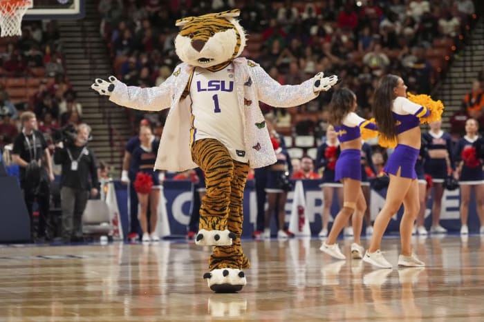 These 20 iconic sports mascots can get any crowd going | Yardbarker