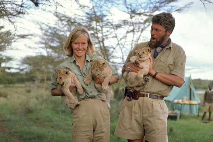 20 Oscar-winning songs still worth listening to | Yardbarker