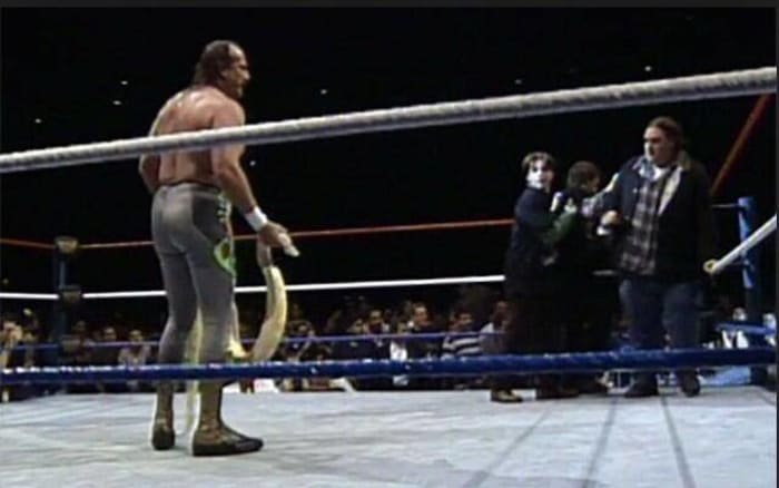 The most memorable performances by pro wrestlers outside the ring ...