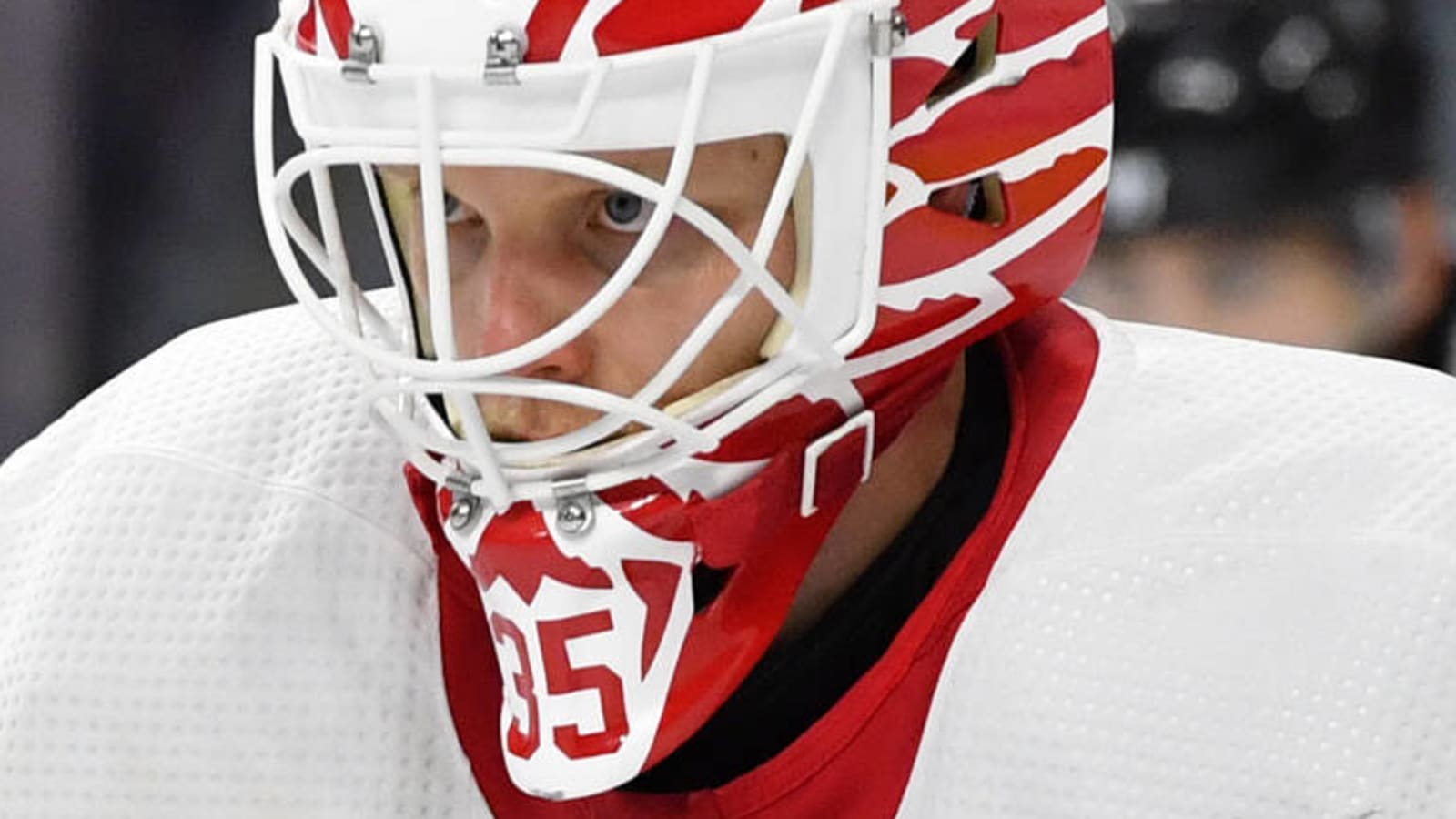 Ville Husso Close to Returning to Red Wings Lineup | Yardbarker