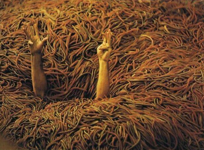 21 bad horror movies that are still worth watching | Yardbarker