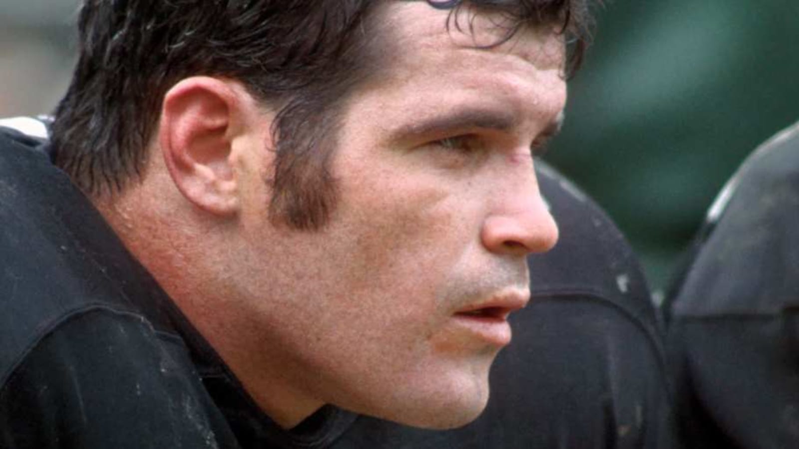 Cincinnati Bengals Legendary Linebacker Bill Bergey Dies | Yardbarker