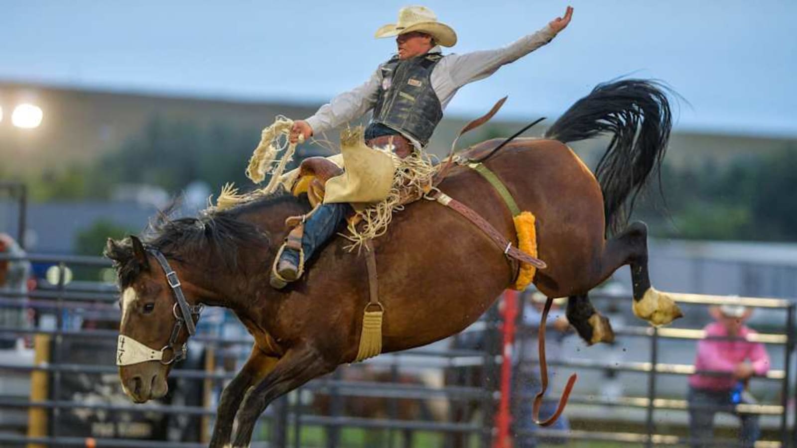 World Champion Cowboys Bucked Their Way Into the New Year in Wonderful ...