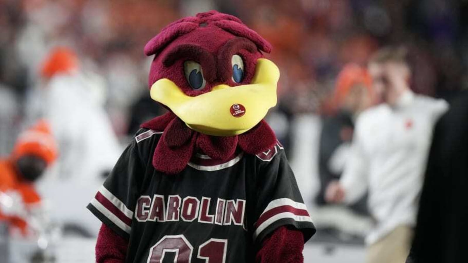 Gamecocks Unveil Fresh Look with Minor Jersey Tweaks for the New Season ...