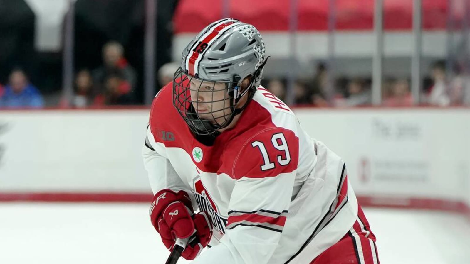 Ottawa Senators sign Stephen Halliday to two-year entry-level contract ...