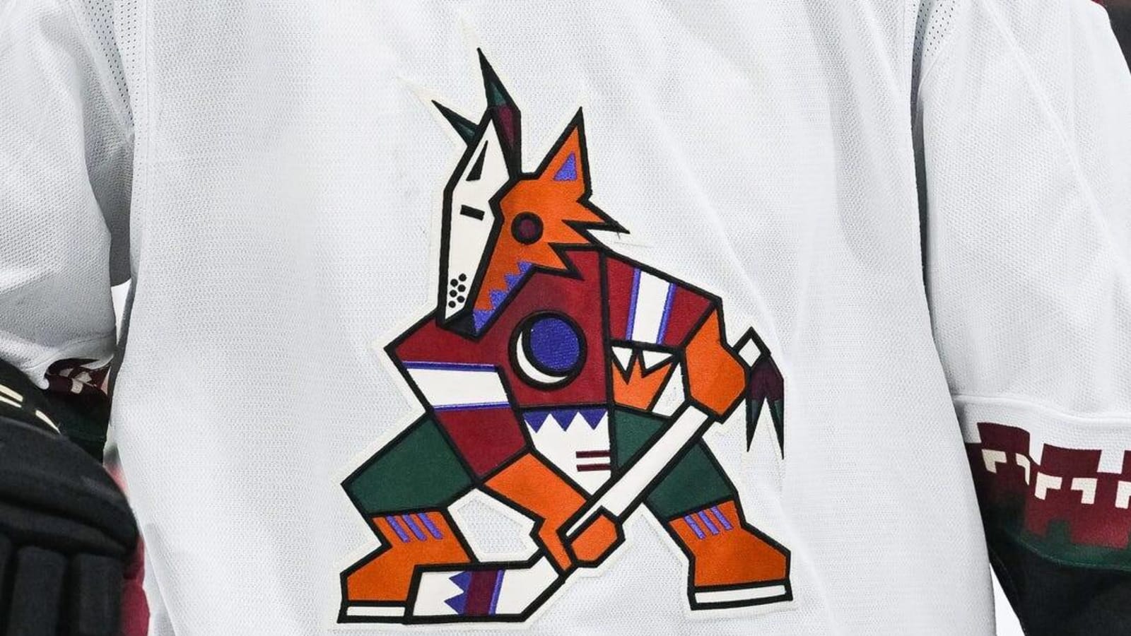 Blizzard, Yeti among finalists for Utah's NHL team name | Yardbarker