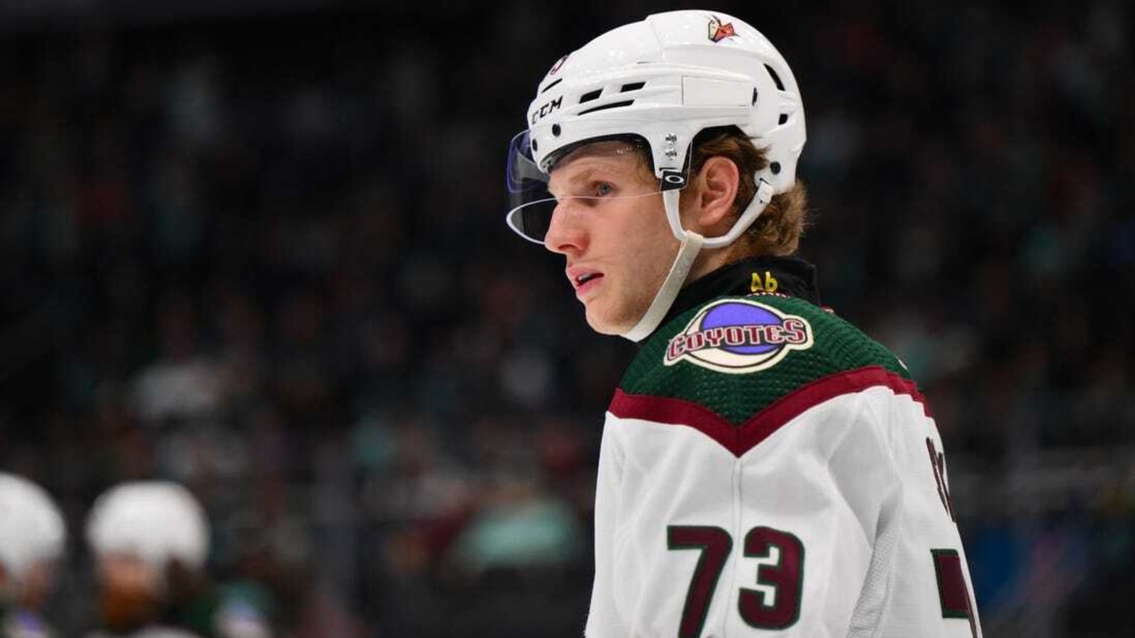 Sens acquire F Jan Jenik from Utah for F Egor Sokolov | Yardbarker