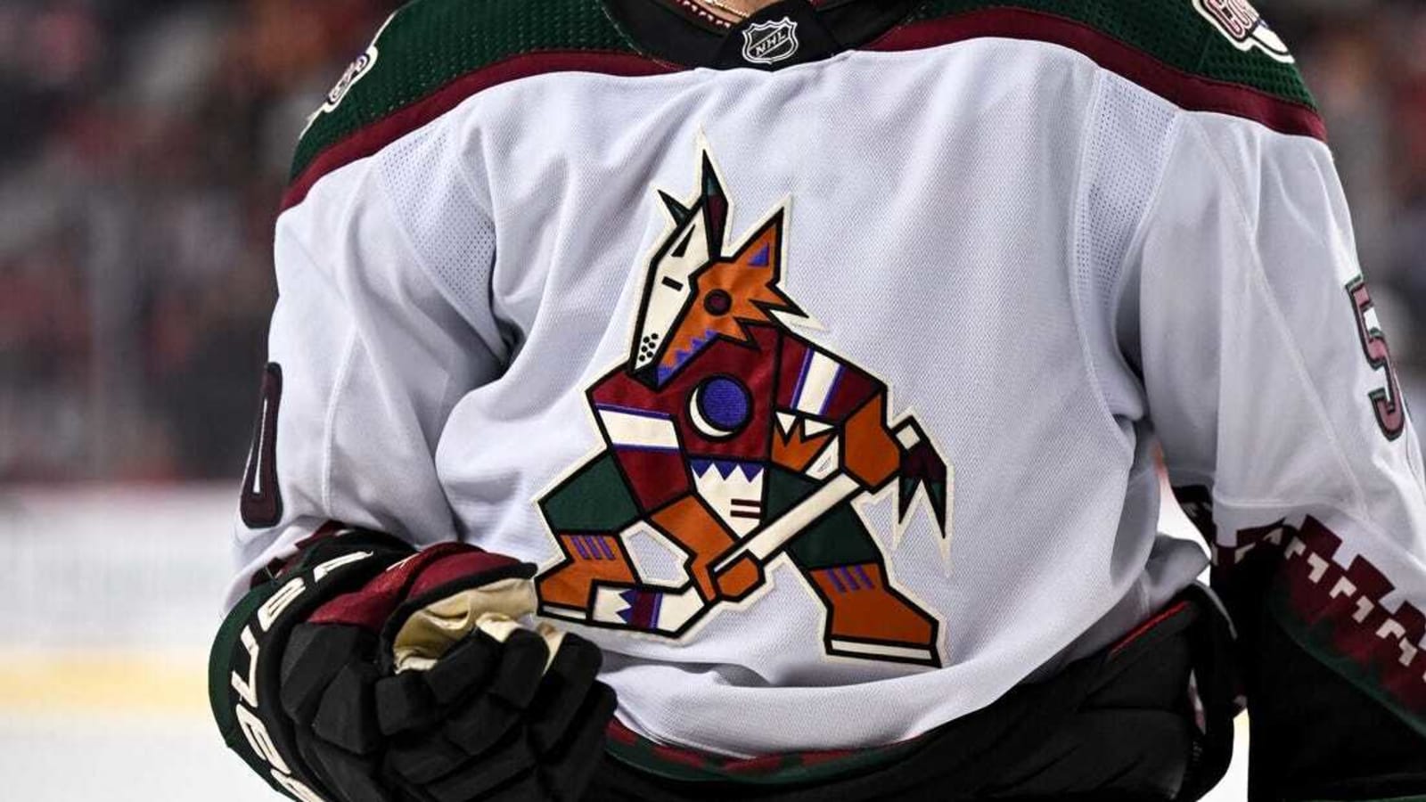Coyotes fume over canceled land auction | Yardbarker