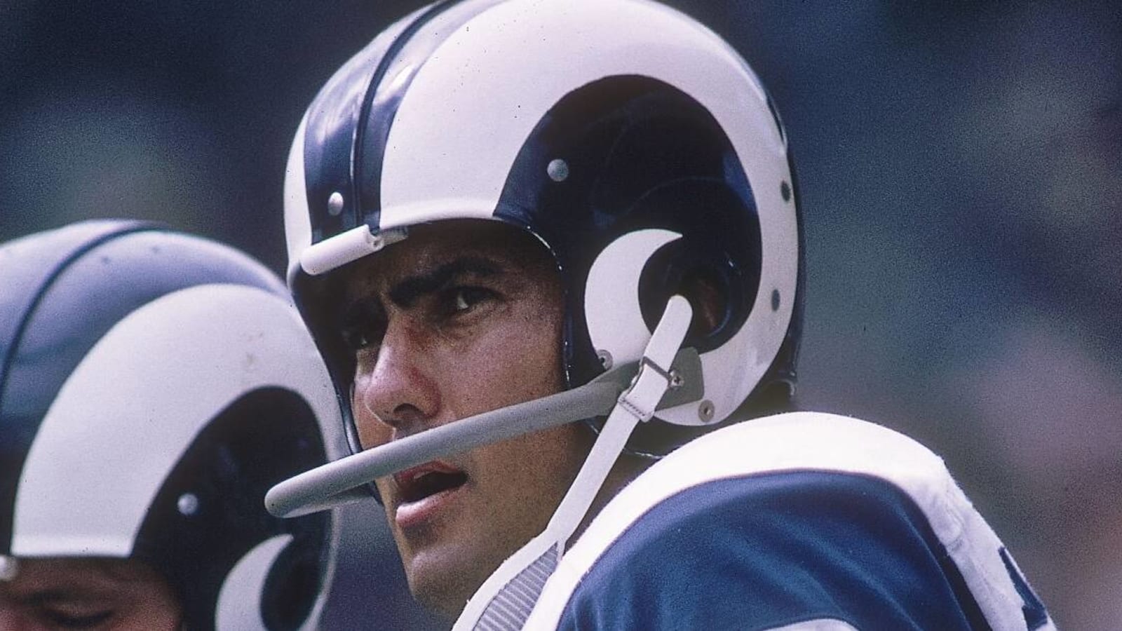 Roman Gabriel, former NFL star QB and Carolina Panthers radio ...