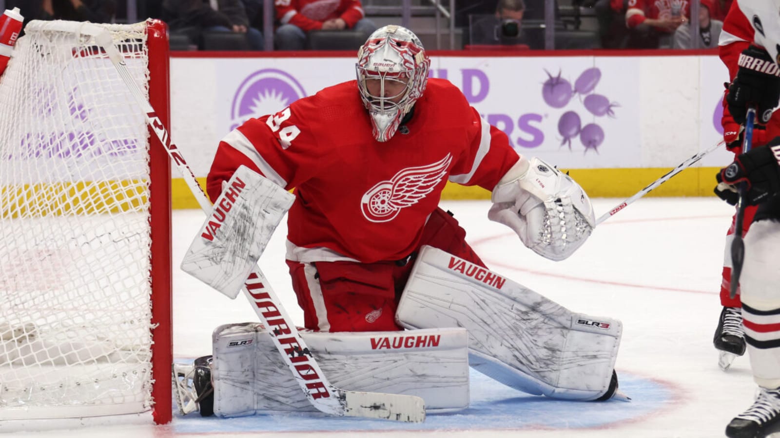 Red Wings’ Latest Win Highlights Lyon, Defense & Lack of Scoring ...